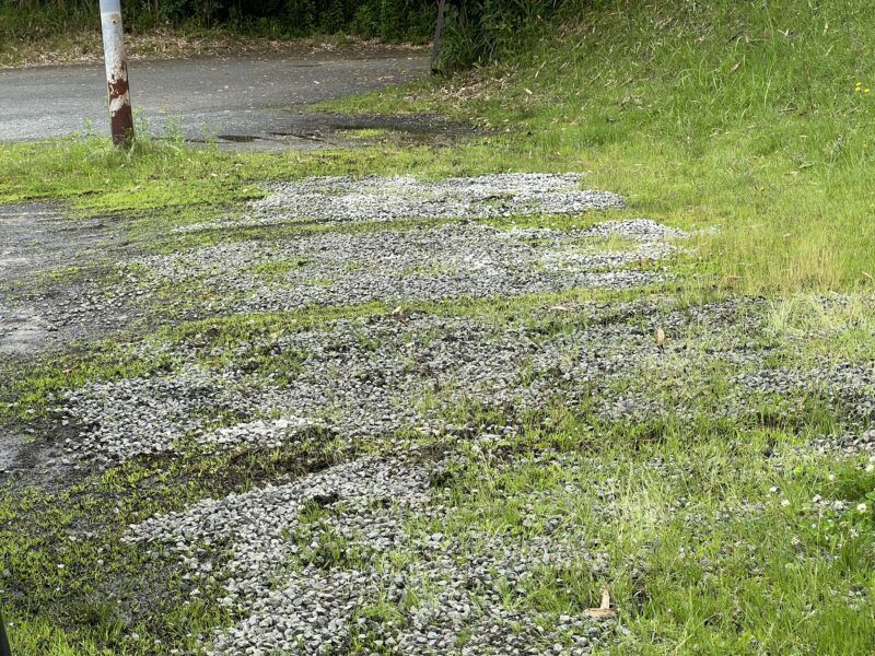 wednesday | Barnshelf バーンシェルフ