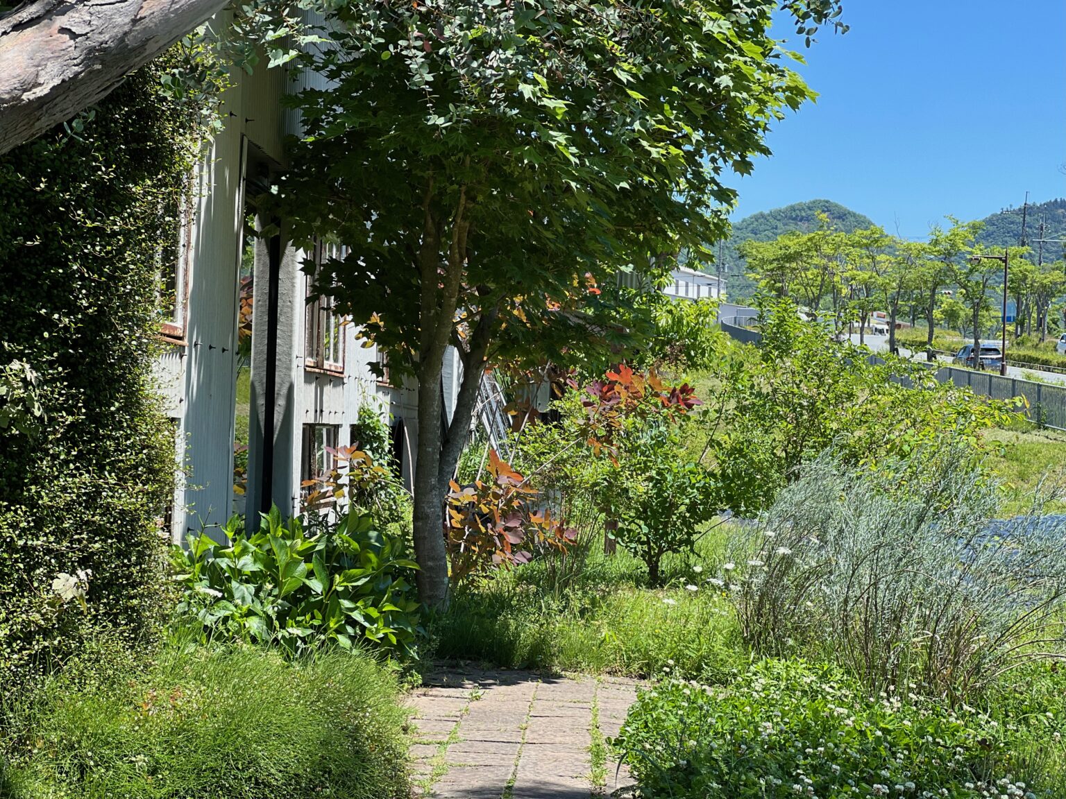 Blog | Barnshelf バーンシェルフ