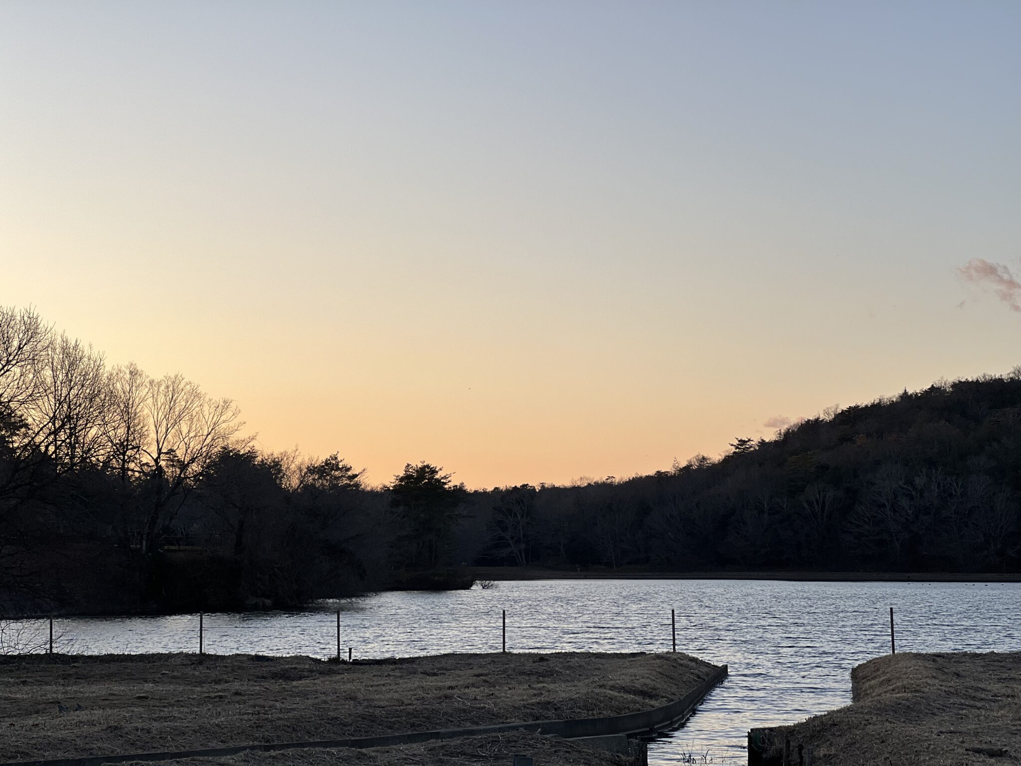 friday | Barnshelf バーンシェルフ