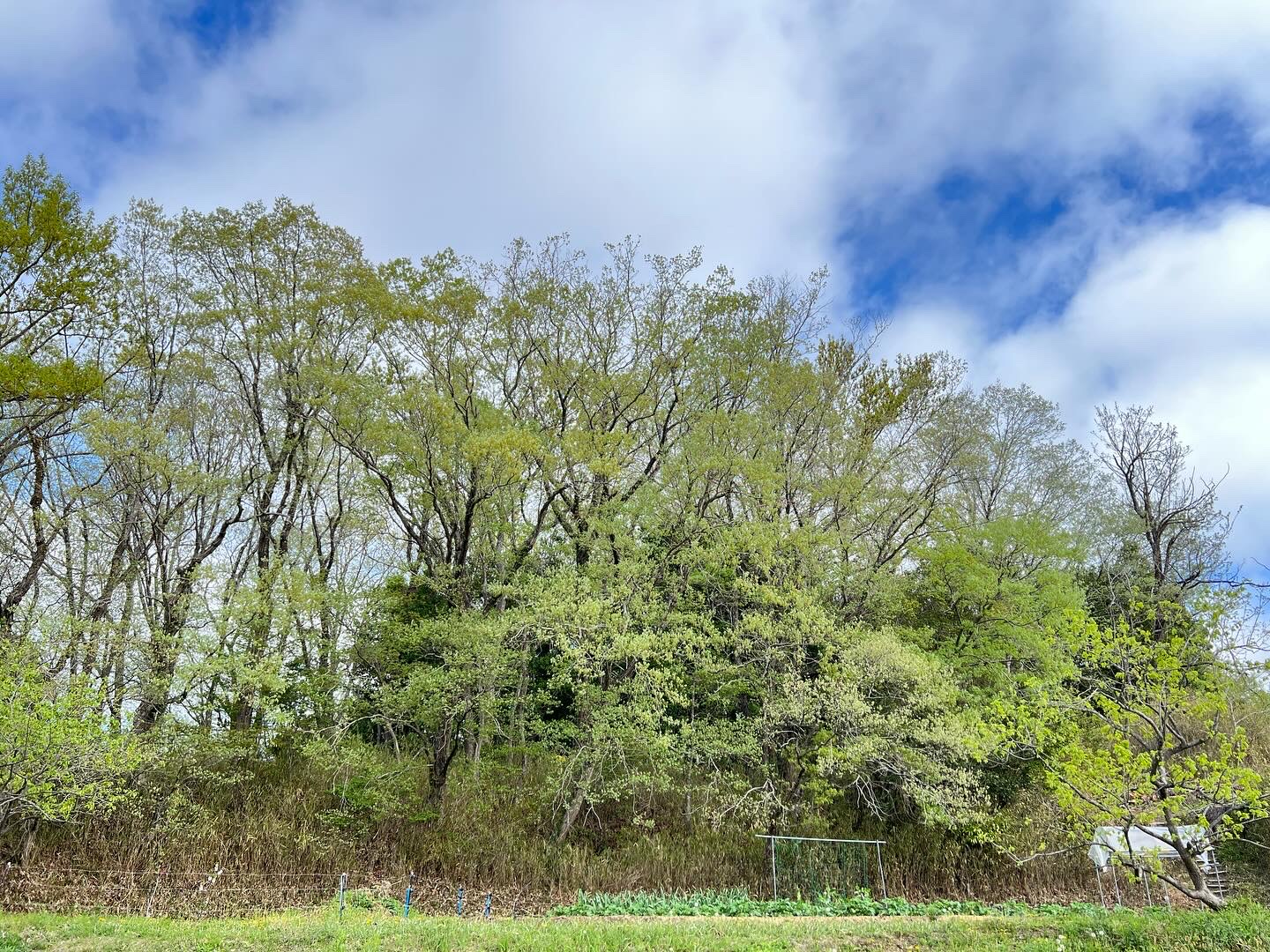 thursday | Barnshelf バーンシェルフ